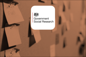 Government Analysis Function – The Government Analysis Function is a ...