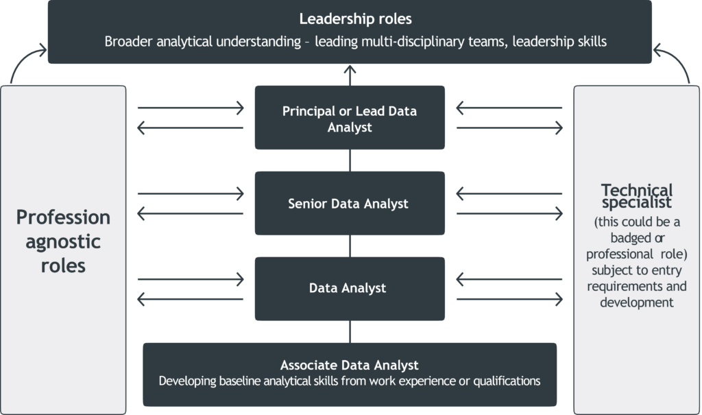 Role profile: data analyst – Government Analysis Function