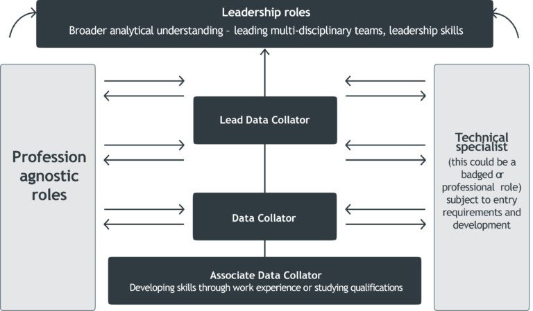 Role profile: data collator – Government Analysis Function