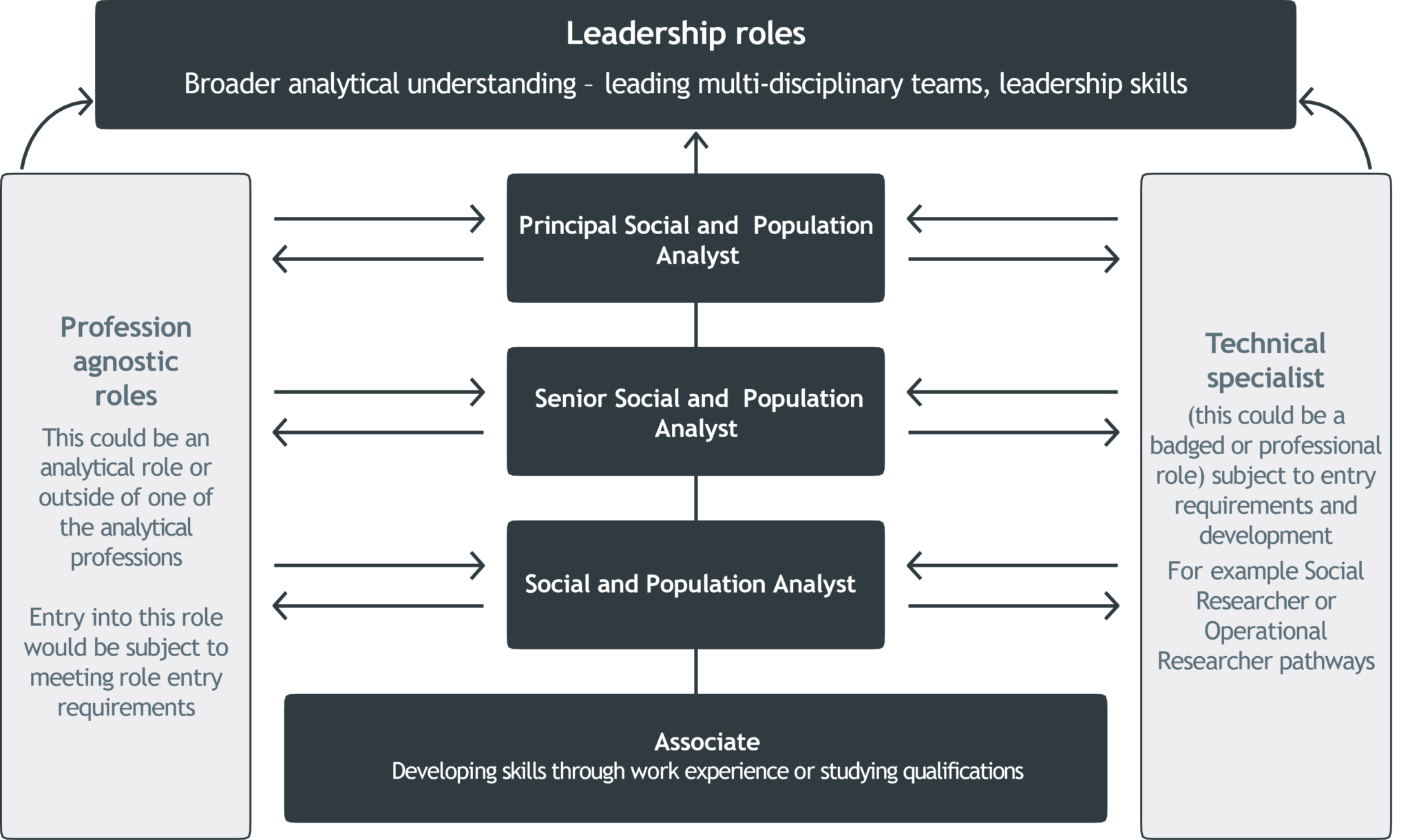 Role profile: social and population analyst – Government Analysis Function