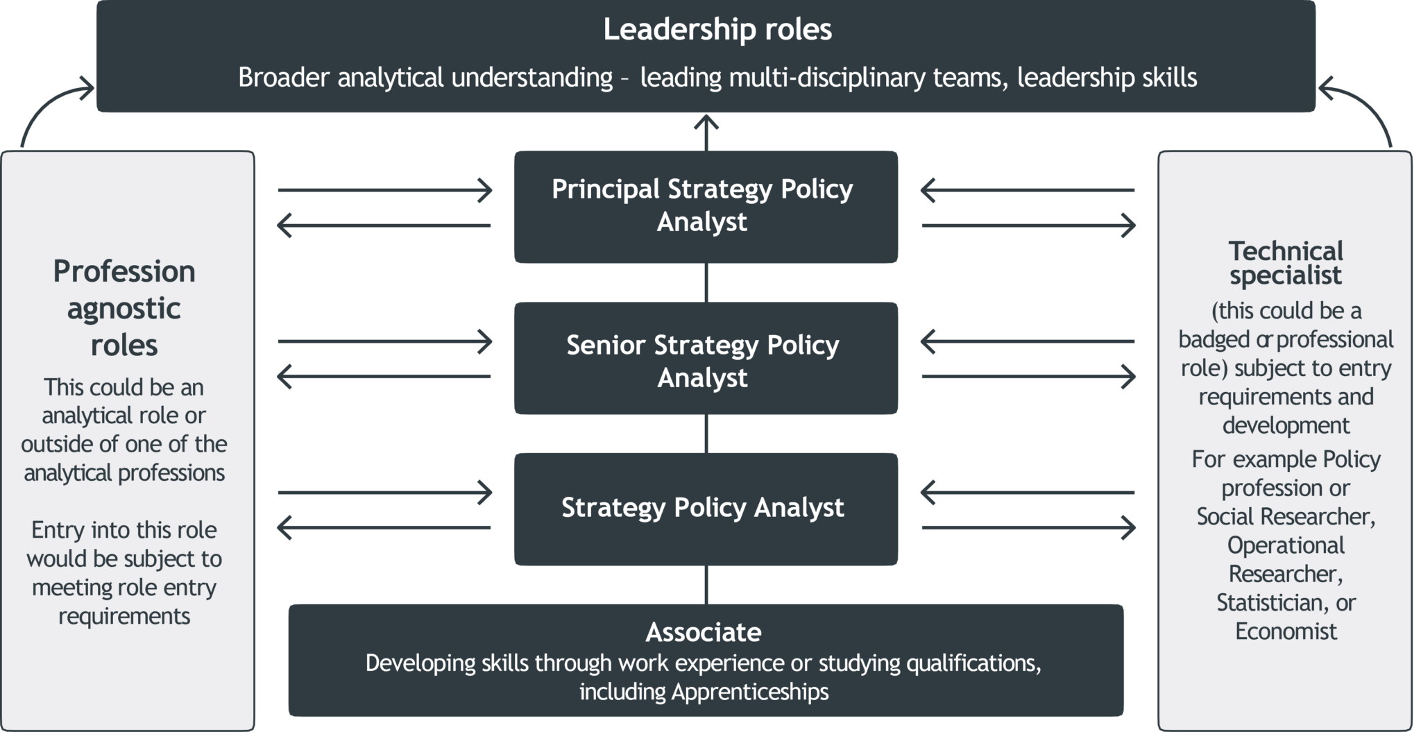 Role profile: strategy policy analyst – Government Analysis Function