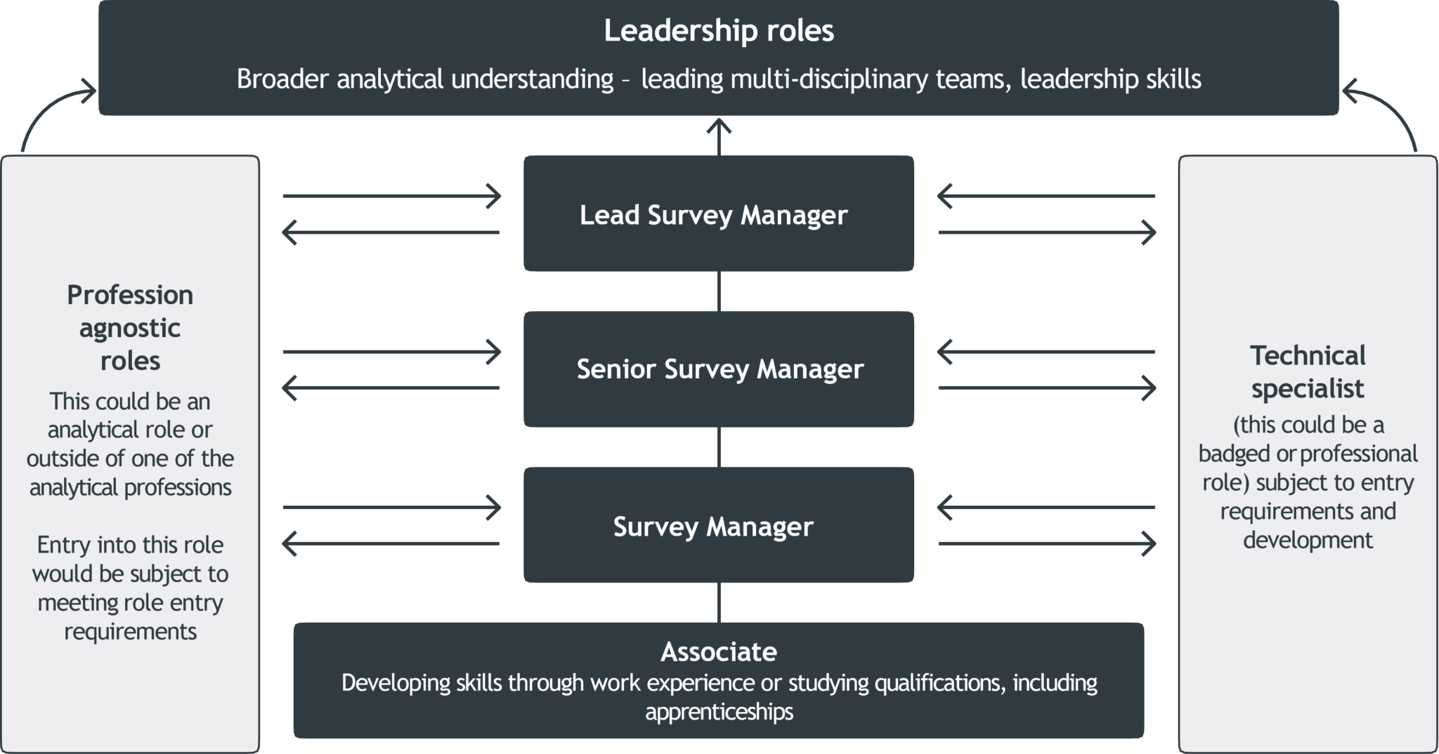 Role profile: survey manager – Government Analysis Function