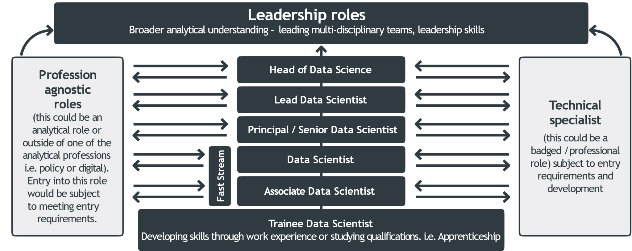 Role profile: data scientist – Government Analysis Function
