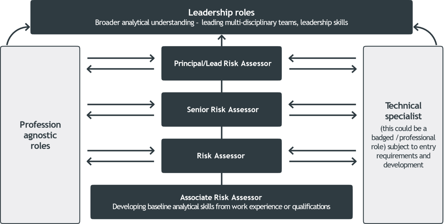 Role Profile Risk Assessor Government Analysis Function